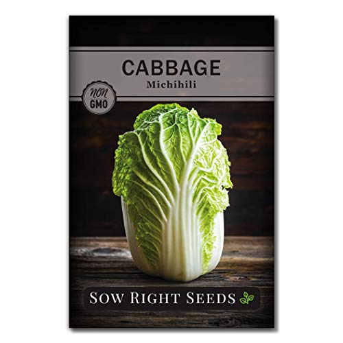 Sow Right Seeds - Asian Greens Collection for Planting - Individual Packets Thai Basil, Pak Choi, Chinese Celery, Michihili Cabbage and Tat SOI, Non-GMO Heirloom Seeds