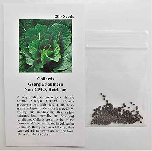 David's Garden Seeds Collards Georgia Southern FBA-1263 (Green) 200 Non-GMO, Heirloom Seeds