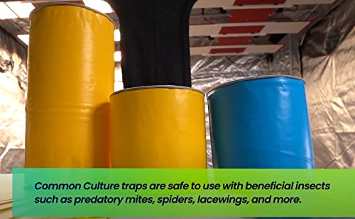 Giant Yellow Sticky Traps - Fly Tape Roll, 15cm x 100m - Bug Sticky Trap for Flying Insects, Aphids, Fruit Fly, Gnats, Barn Fly, Lantern Fly | Tape Sticky Roll Outdoor | Indoor | Hanging