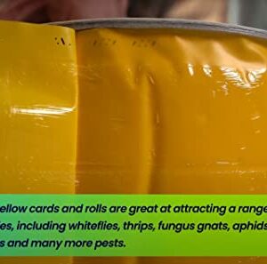 Giant Yellow Sticky Traps - Fly Tape Roll, 15cm x 100m - Bug Sticky Trap for Flying Insects, Aphids, Fruit Fly, Gnats, Barn Fly, Lantern Fly | Tape Sticky Roll Outdoor | Indoor | Hanging