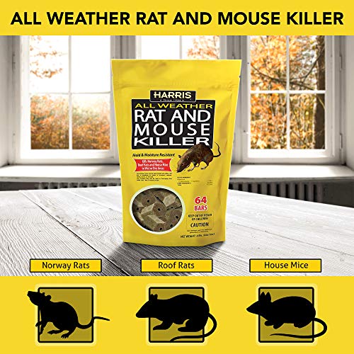 Harris Rat & Mouse Killer, 64 Pack Bait Bars