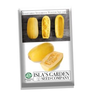 vegetable spaghetti winter squash seeds for planting, 25+ heirloom seeds per packet, (isla’s garden seeds), non gmo seeds, botanical name: cucurbita pepo, home garden gift