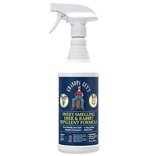 Grandpa Gus's Deer & Rabbit Repellent Ready-to-Use Spray, Protects Garden & Yard, Sweet Smelling Formula with Natural Essential Oils, Weather-Resistant Stink-Free Long-Lasting Scent (32oz)