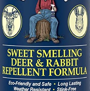 Grandpa Gus's Deer & Rabbit Repellent Ready-to-Use Spray, Protects Garden & Yard, Sweet Smelling Formula with Natural Essential Oils, Weather-Resistant Stink-Free Long-Lasting Scent (32oz)