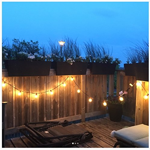 SUNSGNE 25Ft Globe String Lights G40 Outdoor Patio String Lights with 27 Clear G40 Bulbs, Natural Warm Bulb Hanging Umbrella Lights for Backyard Patio Garden Party Cafe Indoor Outdoor Decor-Brown