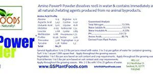 Amino Power Powder Nitrogen Fertilizer - Plant Based High Nitrogen Fertilizer for Plants - All Natural Nitrogen Source and chelating Agent - Suitable for Turf, Vegetables, Fruits & Berries