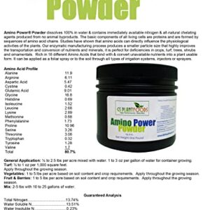 Amino Power Powder Nitrogen Fertilizer - Plant Based High Nitrogen Fertilizer for Plants - All Natural Nitrogen Source and chelating Agent - Suitable for Turf, Vegetables, Fruits & Berries