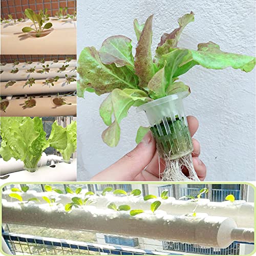 INTBUYING Wall-Mounted PVC Hydroponics Growing System 54 Plant Sites 6 Pipes Hydroponic Grow Kit Garden System Vegetable Tool with Pump