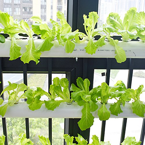 INTBUYING Wall-Mounted PVC Hydroponics Growing System 54 Plant Sites 6 Pipes Hydroponic Grow Kit Garden System Vegetable Tool with Pump