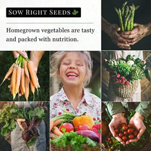 Sow Right Seeds - Classic Vegetable Garden Seed Collection for Planting - Non-GMO Heirloom Beets, Cabbage, Carrot, Cucumber, Eggplant, Kale, Lettuce, Tomato, Peppers, Radish, Watermelon, and Zucchini