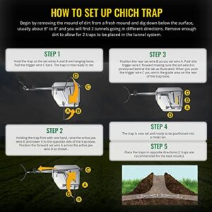 Cinch Deluxe Mole Trap Kit- Small (2 Packs) Heavy Duty, Reusable Rodent Trapping System, Weather Resistant, Outdoor Use - for Lawns, Gardens, Sports Fields, Ranches, Farm Lands, Yards and More