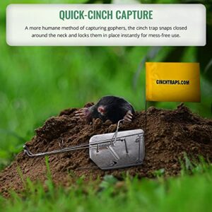 Cinch Deluxe Mole Trap Kit- Small (2 Packs) Heavy Duty, Reusable Rodent Trapping System, Weather Resistant, Outdoor Use - for Lawns, Gardens, Sports Fields, Ranches, Farm Lands, Yards and More