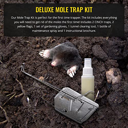 Cinch Deluxe Mole Trap Kit- Small (2 Packs) Heavy Duty, Reusable Rodent Trapping System, Weather Resistant, Outdoor Use - for Lawns, Gardens, Sports Fields, Ranches, Farm Lands, Yards and More