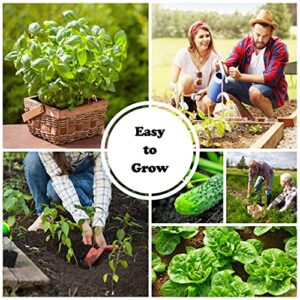 Instant Garden, Heirloom Vegetable Seed Collection, 15 Variety Non GMO Heirloom Garden Vegetable Herb Seeds - Tomato, Pepper, Lettuce, Carrot, Kale, Basil, & More