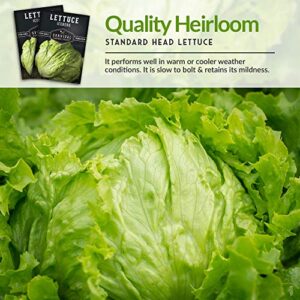 Survival Garden Seeds - Iceberg Lettuce Seed for Planting - Packet with Instructions to Plant and Grow Crisp Head Lettuce in Your Home Vegetable Garden - Non-GMO Heirloom Variety