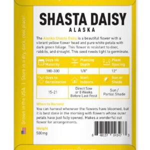 White Shasta Daisy Flower Seeds for Planting (Alaska, Chrysanthemum Maximum) Perennial Heirloom, Non-GMO Flowers Seed Variety- 500mg Seeds Great for Summer Cut Flower Gardens by Gardeners Basics