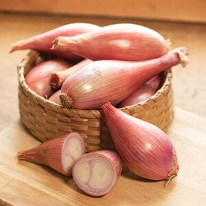 david’s garden seeds shallot creme brulee 1658 (pink) 50 non-gmo, hybrid seeds