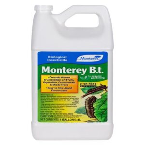 monterey b.t. gallon