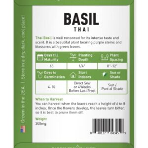 Thai Basil Seeds for Planting Herbs - Heirloom Non-GMO Herb Plant Seeds for Home Herb Garden Indoors, Outdoors, and Hydroponics by Gardeners Basics