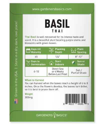 Thai Basil Seeds for Planting Herbs - Heirloom Non-GMO Herb Plant Seeds for Home Herb Garden Indoors, Outdoors, and Hydroponics by Gardeners Basics