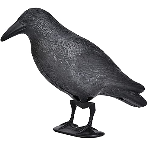 01 Simulation Crow Desktop Decor, Simulation Crow Long Service Time Durable for Halloween for Garden Decoration for Hunting Bait(Black)