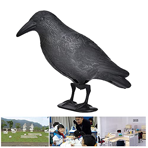 01 Simulation Crow Desktop Decor, Simulation Crow Long Service Time Durable for Halloween for Garden Decoration for Hunting Bait(Black)