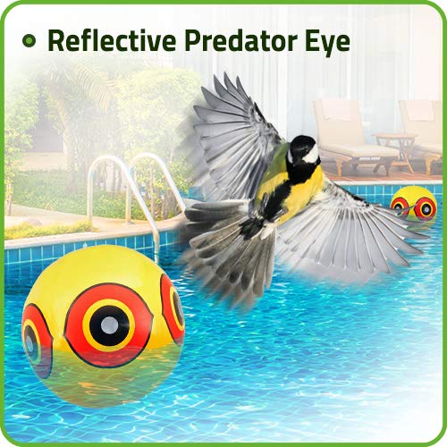 De-Bird Balloon Bird Repellent - 3-Pk - Fast and Effective Solution to Pest Problems - Scary Eye Balloons Keep Birds Away from House, Garden Crops, Swimming Pools & More