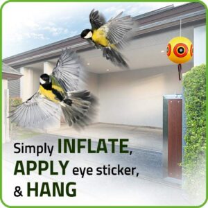 De-Bird Balloon Bird Repellent - 3-Pk - Fast and Effective Solution to Pest Problems - Scary Eye Balloons Keep Birds Away from House, Garden Crops, Swimming Pools & More