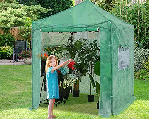 ABCCANOPY 8'x6' Pop Up Greenhouse Walk-in Garden Greenhouse for Indoor Outdoor Gardening with Roll-Up Door and Windows