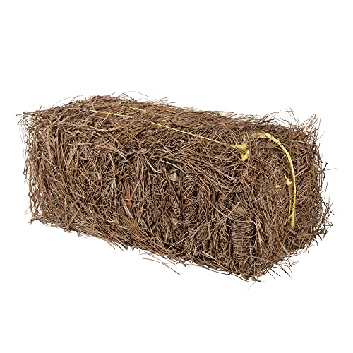 Garden Elements Long Leaf Pine Straw Bale for Mulch, Soil Amendment, and Fall Decoration, 12.5 Pounds