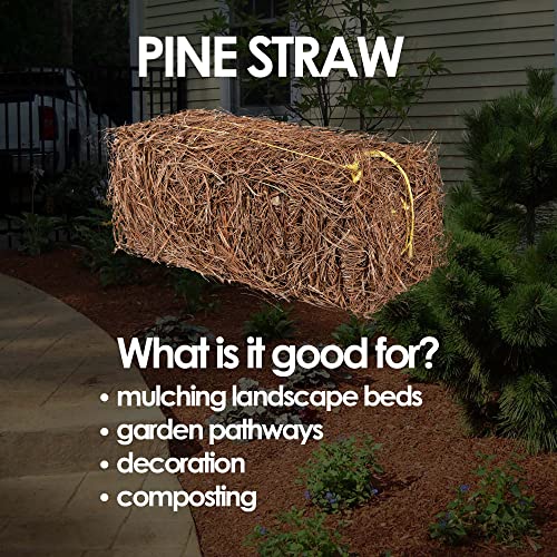 Garden Elements Long Leaf Pine Straw Bale for Mulch, Soil Amendment, and Fall Decoration, 12.5 Pounds