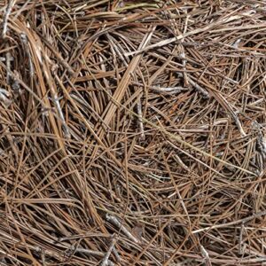 Garden Elements Long Leaf Pine Straw Bale for Mulch, Soil Amendment, and Fall Decoration, 12.5 Pounds