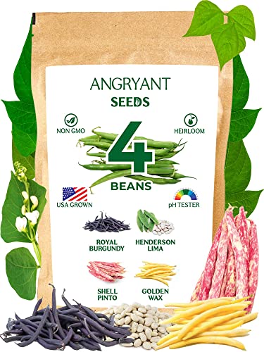 Bean Seeds 4 Variety Pack - Non GMO, Heirloom Seeds for Planting Indoor, Outdoor, and Hydroponic Vegetable Garden - 100% USA Grown - Including Royal Burgundy, Henderson Lima, Shell Pinto, Golden Wax