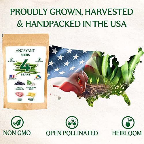 Bean Seeds 4 Variety Pack - Non GMO, Heirloom Seeds for Planting Indoor, Outdoor, and Hydroponic Vegetable Garden - 100% USA Grown - Including Royal Burgundy, Henderson Lima, Shell Pinto, Golden Wax