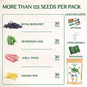 Bean Seeds 4 Variety Pack - Non GMO, Heirloom Seeds for Planting Indoor, Outdoor, and Hydroponic Vegetable Garden - 100% USA Grown - Including Royal Burgundy, Henderson Lima, Shell Pinto, Golden Wax