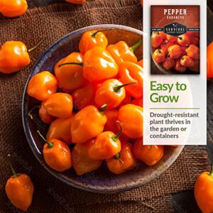 Survival Garden Seeds - Orange Habanero Seed for Planting - Packet with Instructions to Plant and Grow Hot Chili Peppers in Your Home Vegetable Garden - Non-GMO Heirloom Variety