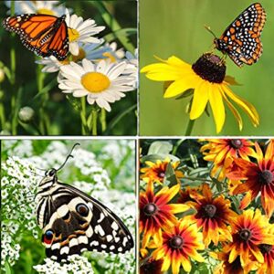 Perennial Wildflower Seeds Package with 25 Different Varieties 100,000 Seeds, Hummingbird and Butterfly Garden Seeds, Popular Perennial Flower Seeds, Non-GMO Wildflower Seeds Mix for Your Garden