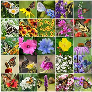 Perennial Wildflower Seeds Package with 25 Different Varieties 100,000 Seeds, Hummingbird and Butterfly Garden Seeds, Popular Perennial Flower Seeds, Non-GMO Wildflower Seeds Mix for Your Garden