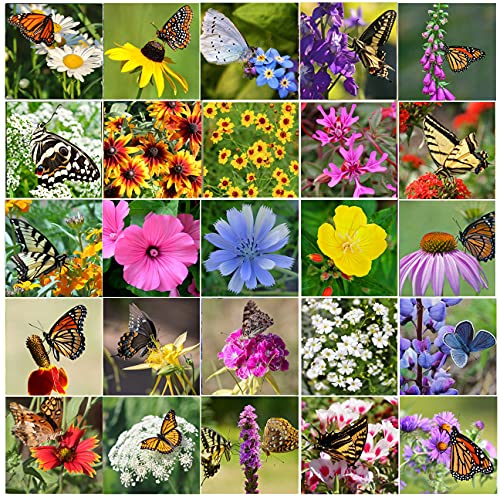 Perennial Wildflower Seeds Package with 25 Different Varieties 100,000 Seeds, Hummingbird and Butterfly Garden Seeds, Popular Perennial Flower Seeds, Non-GMO Wildflower Seeds Mix for Your Garden