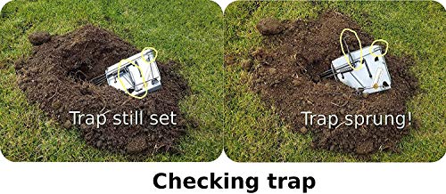 MOLE Trap (Pack of 2) LASSO Galvanized & Oil Hardened Steel// Super Cost-Effective, Reusable, Durable Animal Best in The Lawn, Yard, Garden, Farm, All Outdoor Settings w/ Manual (Small) 2 1/8inch