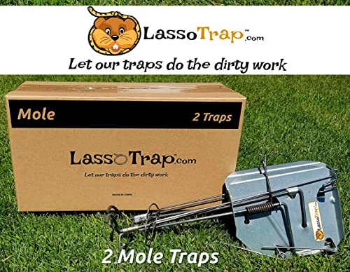 MOLE Trap (Pack of 2) LASSO Galvanized & Oil Hardened Steel// Super Cost-Effective, Reusable, Durable Animal Best in The Lawn, Yard, Garden, Farm, All Outdoor Settings w/ Manual (Small) 2 1/8inch