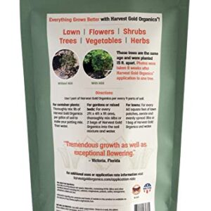 Harvest Gold Organics - Organic Soil Conditioner, Natural Soil Amendment for Houseplants, Flowers, Lawns, Gardens and Trees, Provides Natural Silica and Micronutrients for Plants (3 Pound Bag)