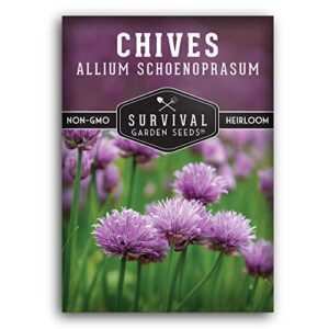 survival garden seeds – common chives seed for planting – packet with instructions to plant and grow delicious perennial herbs in your home vegetable garden – non-gmo heirloom variety