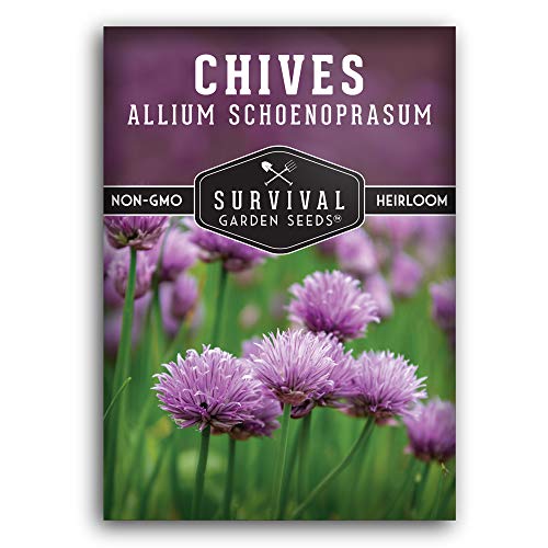 Survival Garden Seeds - Common Chives Seed for Planting - Packet with Instructions to Plant and Grow Delicious Perennial Herbs in Your Home Vegetable Garden - Non-GMO Heirloom Variety