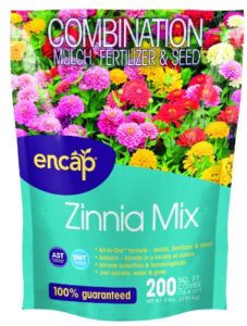 encap 10806-6 zinnia cut flower mix, 2 pounds