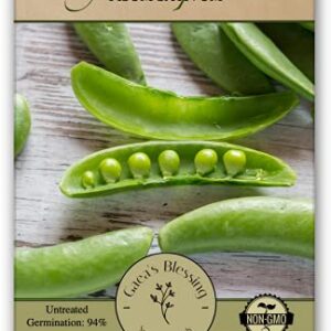 Gaea's Blessing Seeds - Sugar Snap Pea Seeds - Non-GMO Seeds for Planting with Easy to Follow Instructions 94% Germination Rate (Pack of 1)