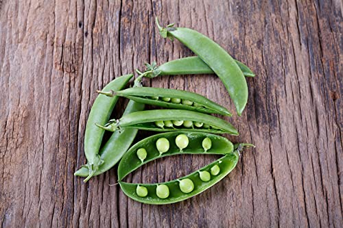 Gaea's Blessing Seeds - Sugar Snap Pea Seeds - Non-GMO Seeds for Planting with Easy to Follow Instructions 94% Germination Rate (Pack of 1)