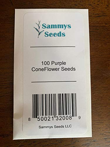 100 Purple Coneflower Seeds | Non-GMO | Fresh Garden Seeds