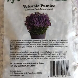 Gantessa Stone Gardening Pumice Soil Amendment | 3/8 Screened | 1.25 Quarts (PS381Q)