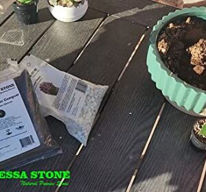 Gantessa Stone Gardening Pumice Soil Amendment | 3/8 Screened | 1.25 Quarts (PS381Q)